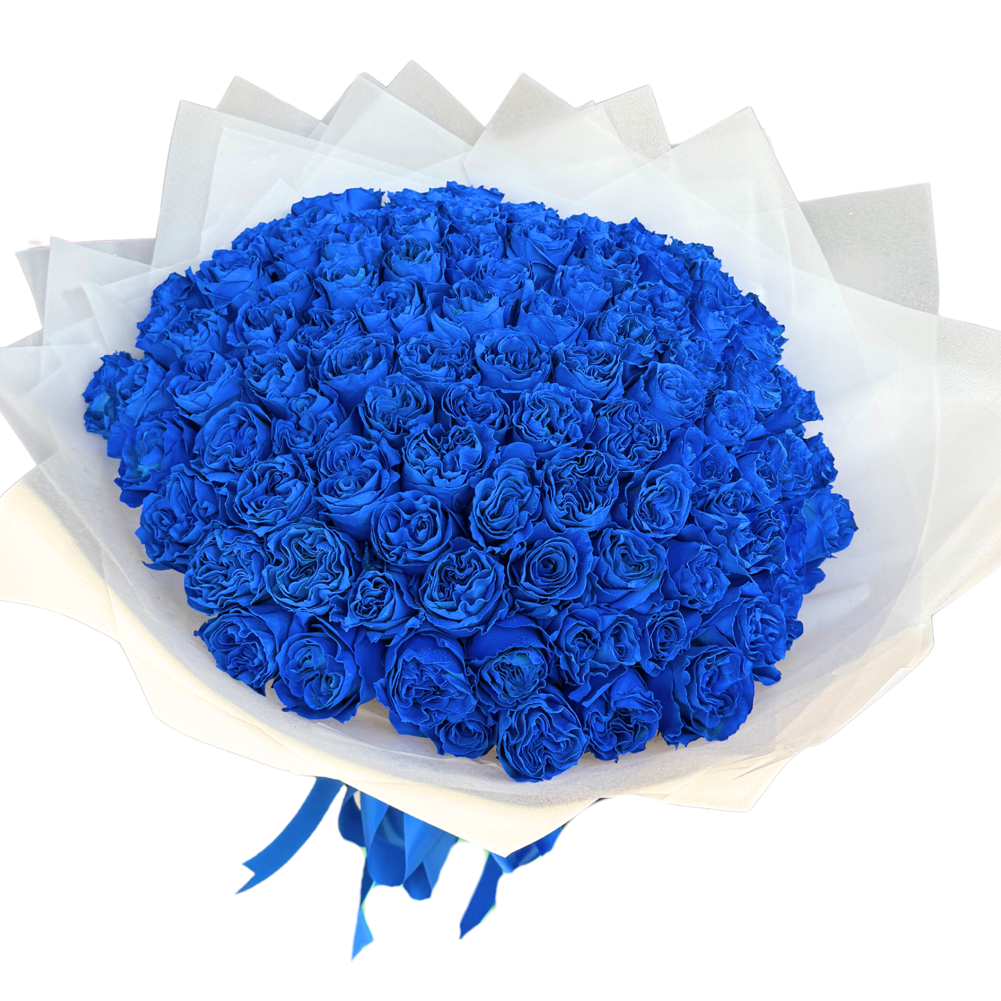 100 Blue Roses Bouquet – Terra Flowers Miami