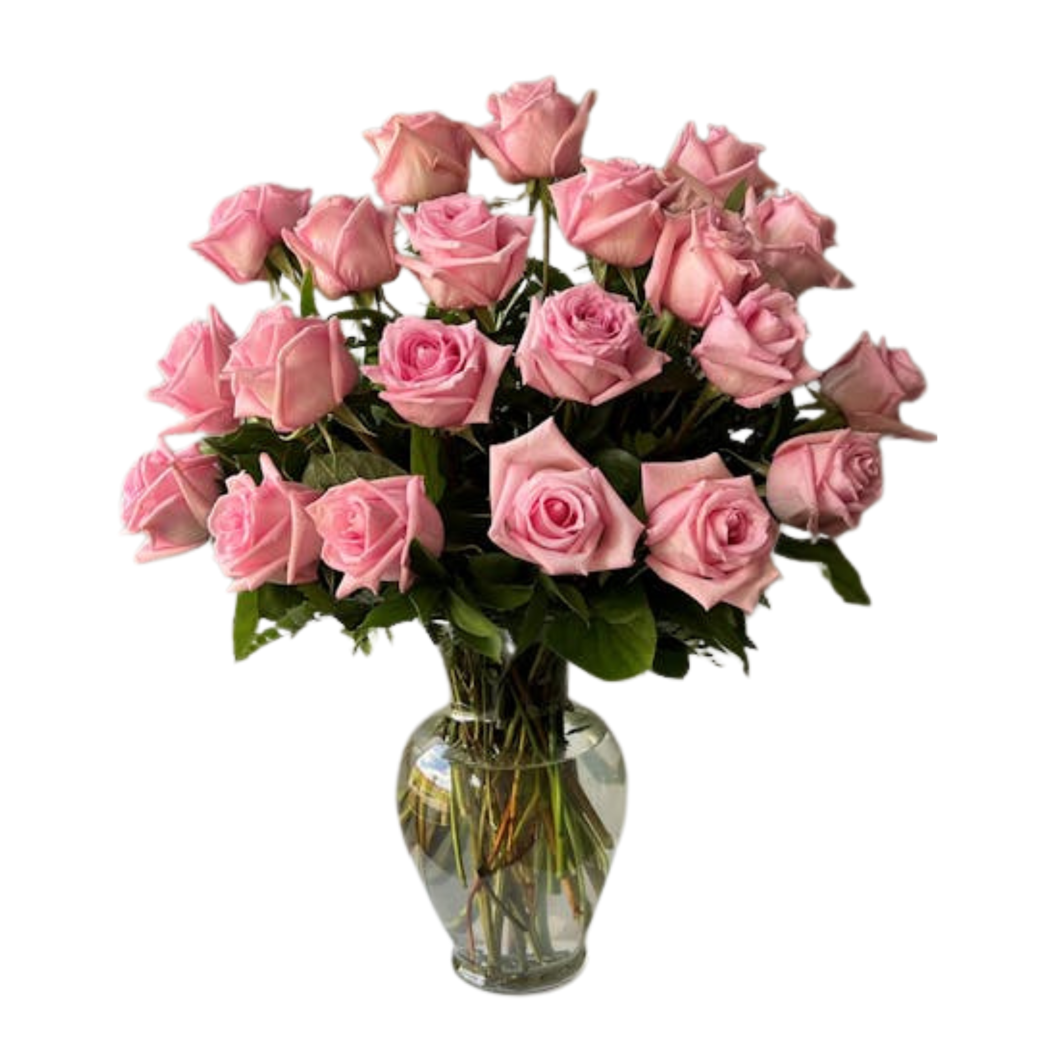 2 Dozen Classic Pink Roses – Terra Flowers Miami