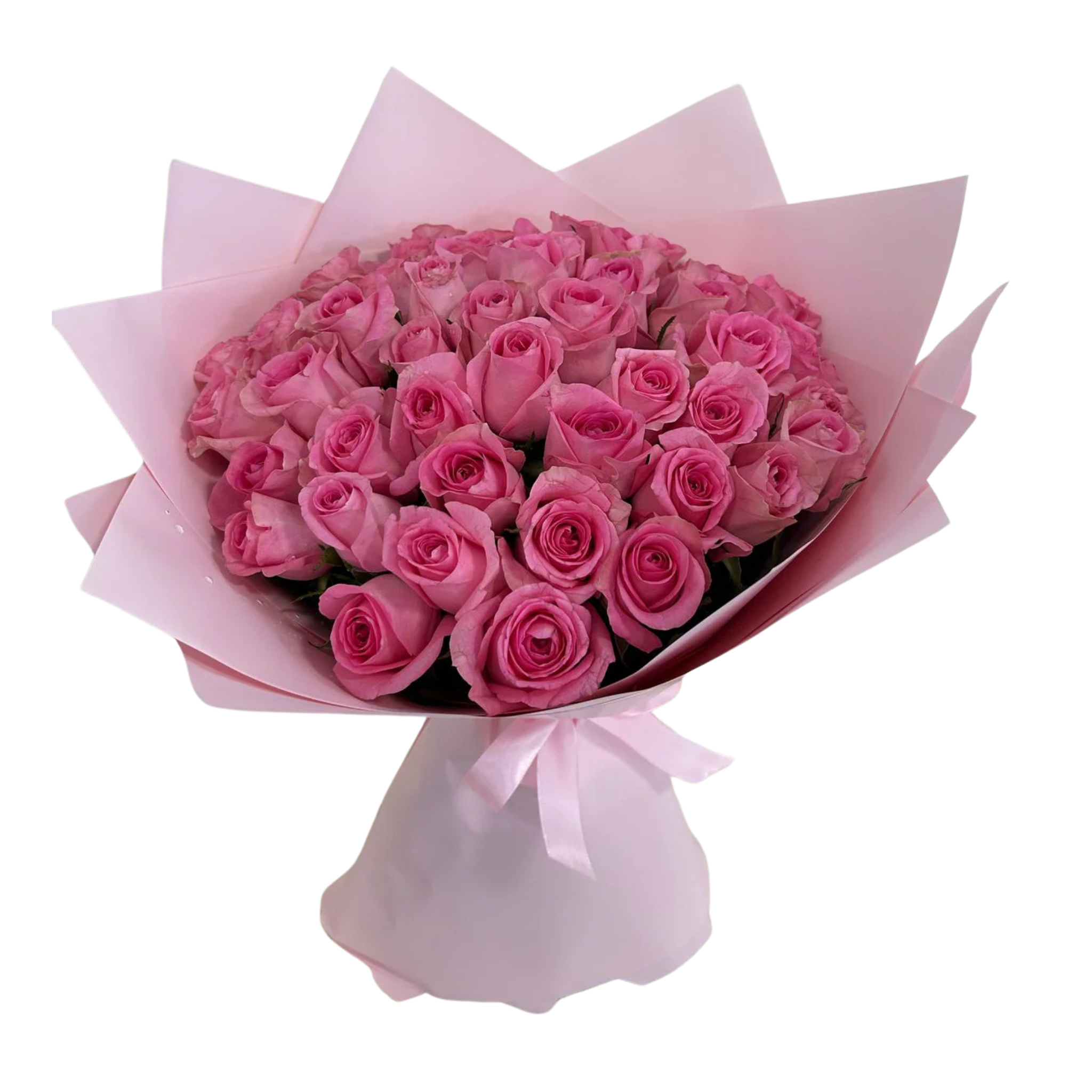 50 Pink Roses Bouquet – Terra Flowers Miami