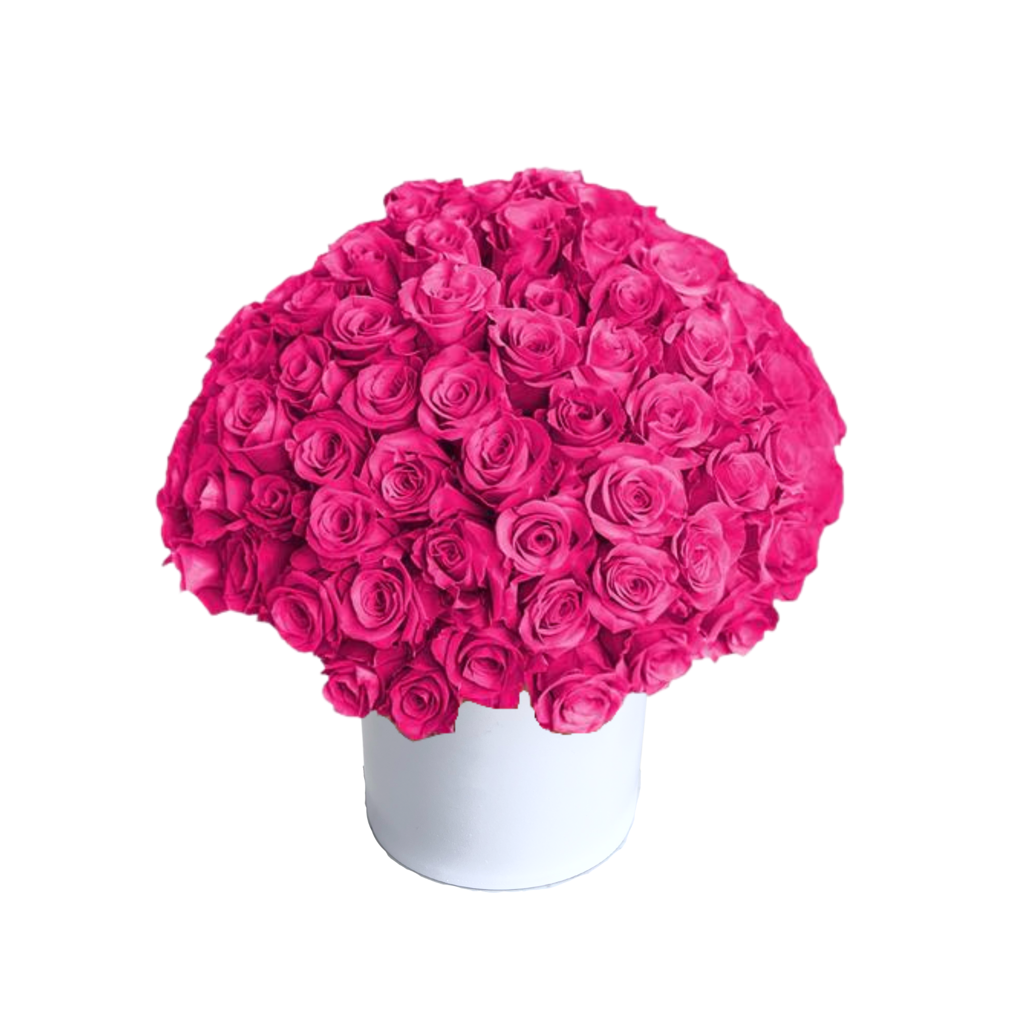 100 Hot Pink Rose Vase – Terra Flowers Miami